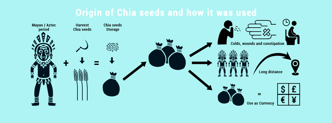 Chia Seed The Super Healthy Food - Crystals Heal