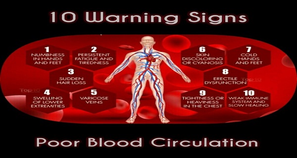 True Blood Keeps A Body Healthy - Crystals Heal